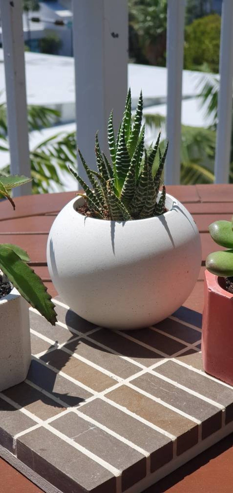 Sphere Cement Planter - Etsy