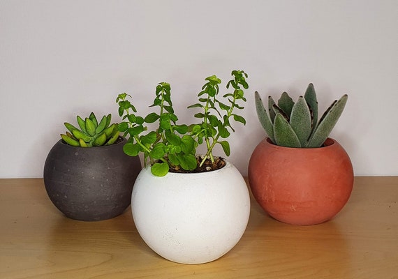 Sphere Cement Planter - Etsy