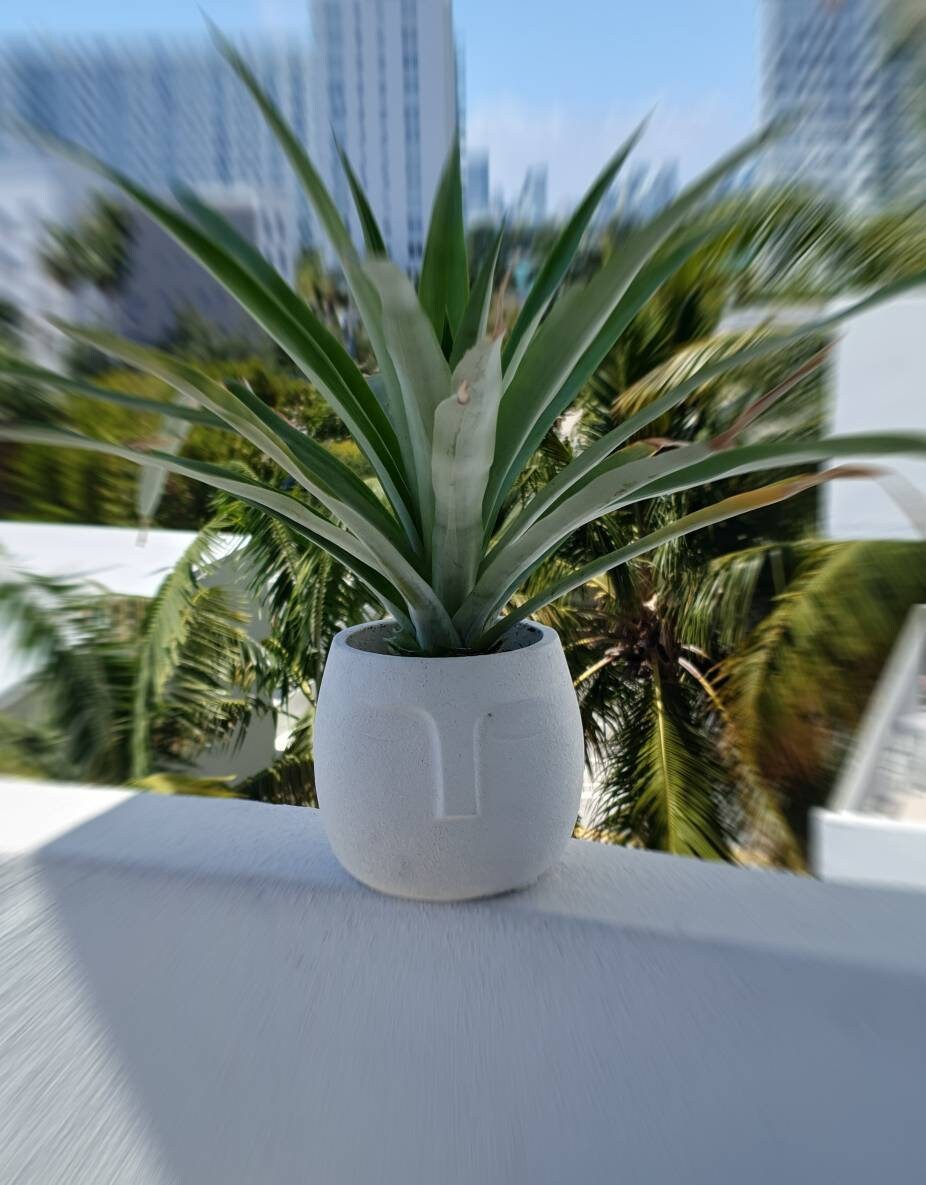 Abstract Face Cement Flower Pot - Etsy