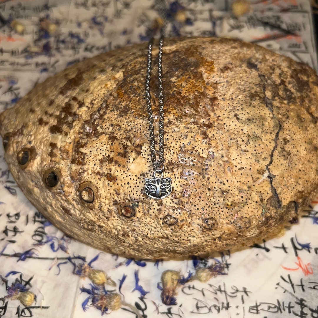 Spirit & Entity Repellent Amulet Protection Abilities Shield - Etsy