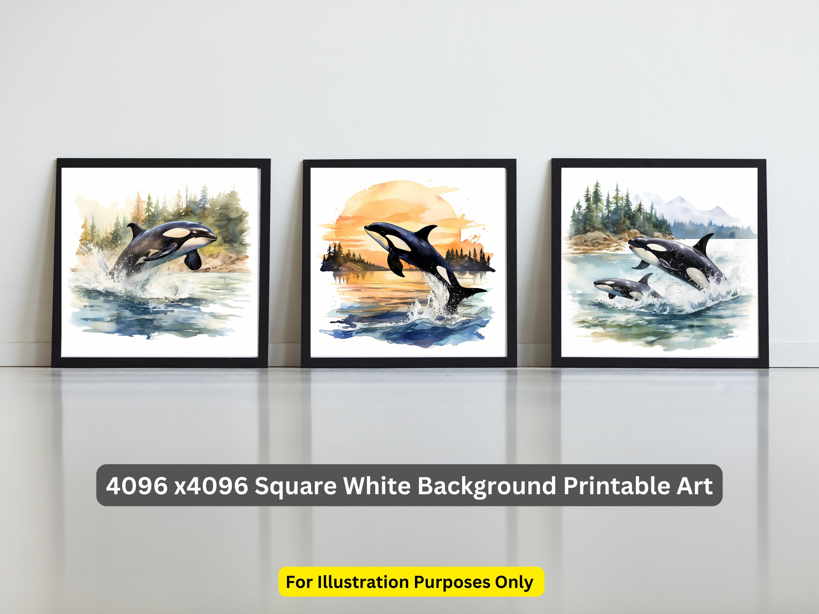 Orca Killer Whale Clip Art, 20 High Quality 300 Dpi Jpgs Watercolor Pen ...