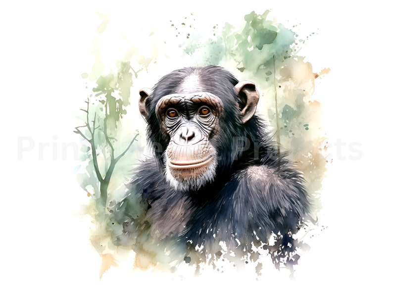 20 Cute Chimpanzees Clip Art High Quality 300 Dpi Jpgs Monkey ...