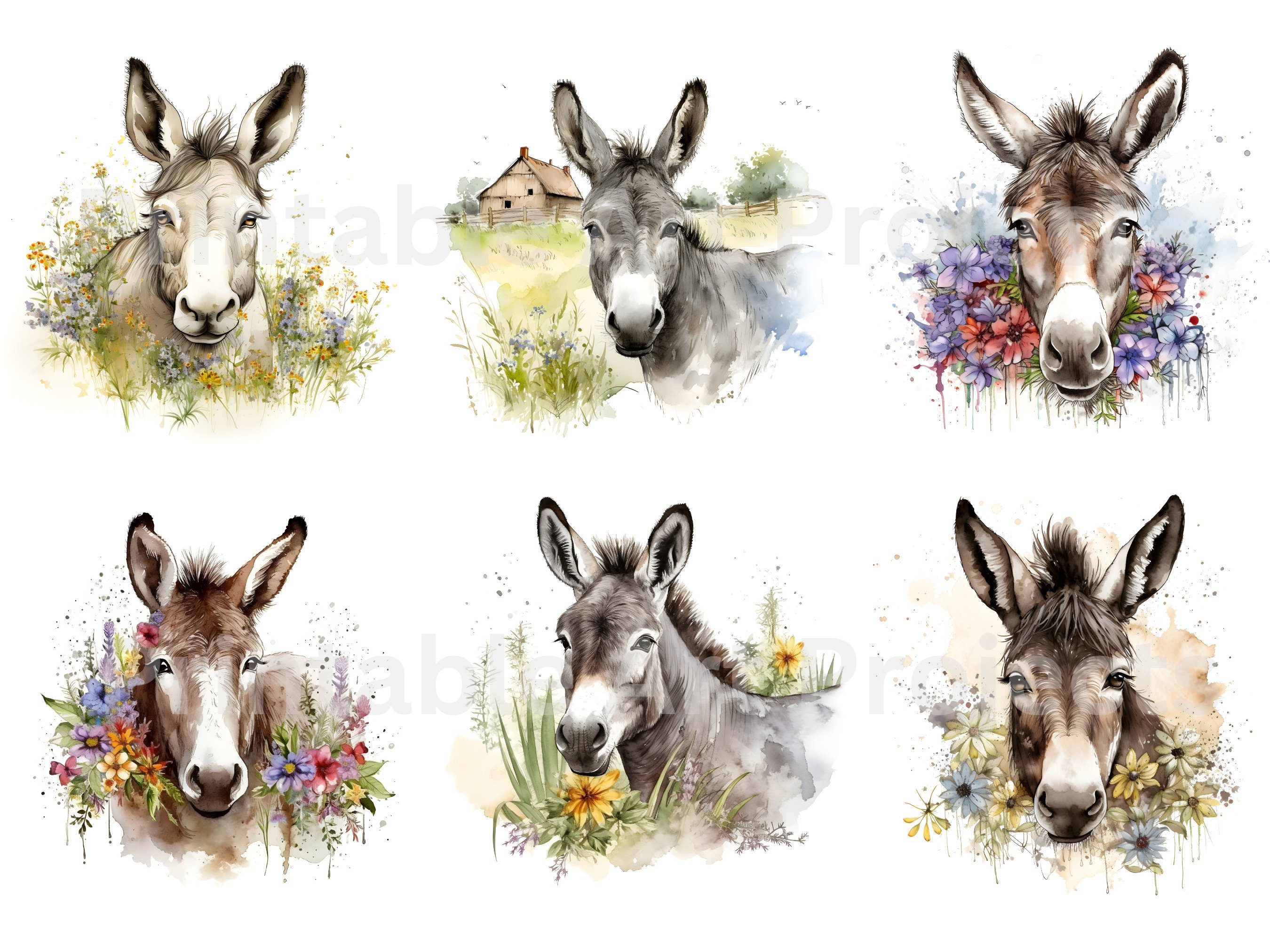 20 Cute Donkeys Clip Art High Quality 4096x4096 Px Jpgs Donkey ...
