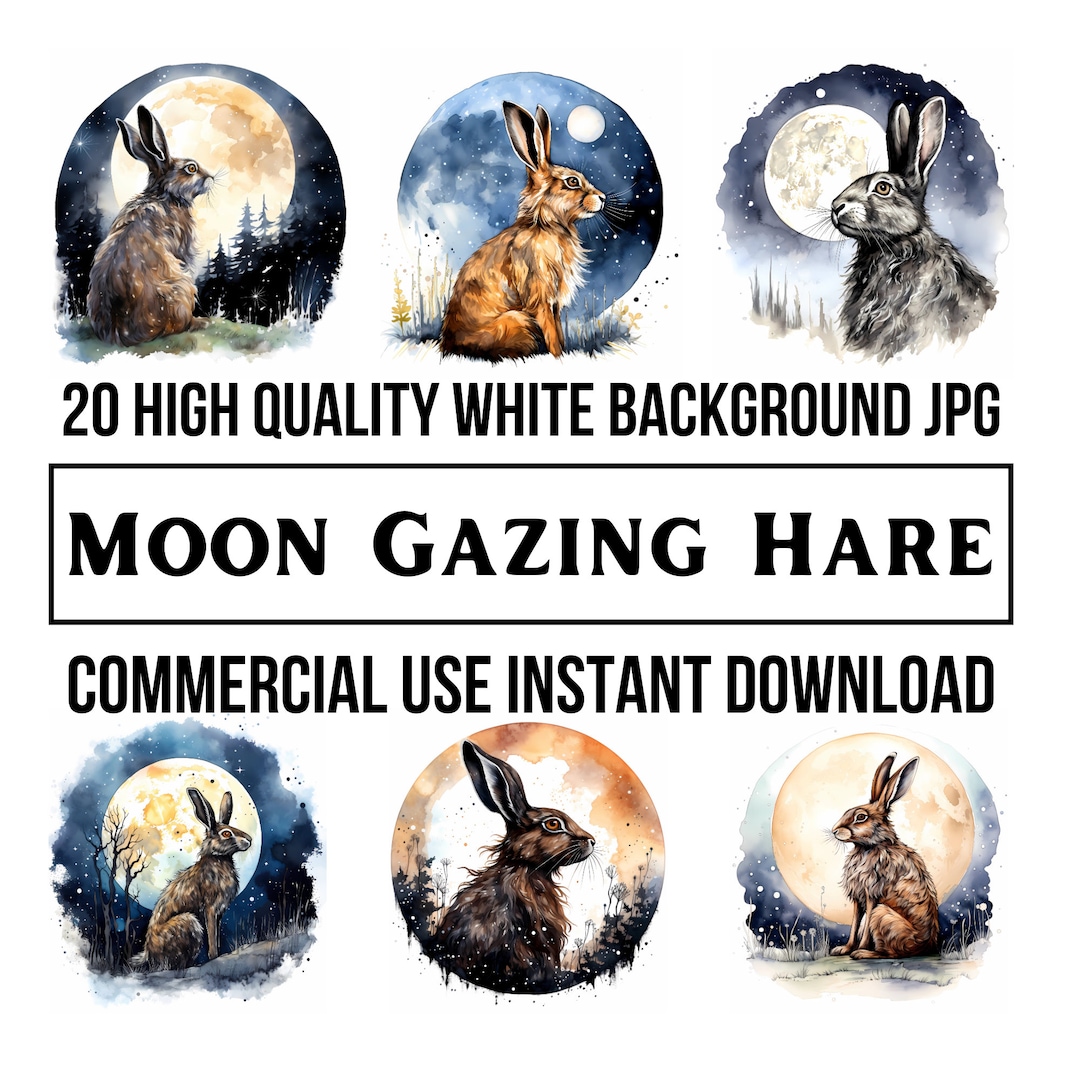Moon Gazing Hare Lunar Clip Art, 20 High Quality 300 Dpi Jpgs ...