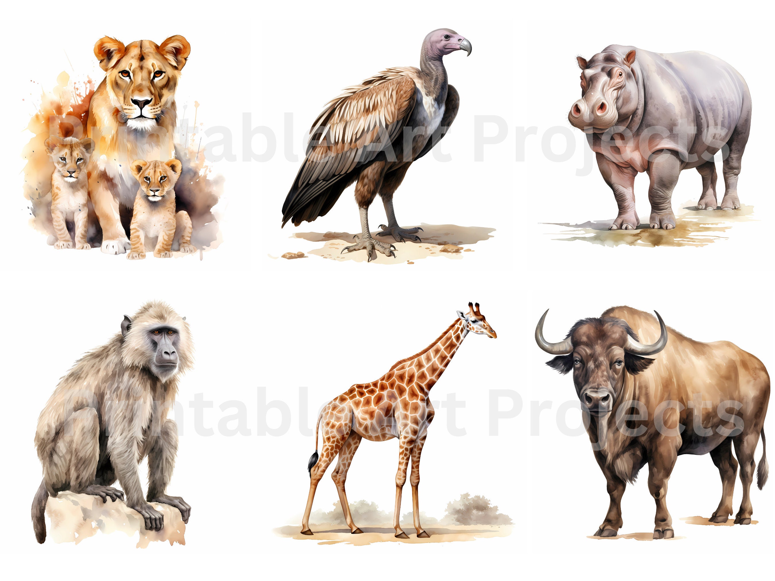 20 Safari Wild Animals Clip Art, High Quality 300 Dpi Jpgs Watercolor ...