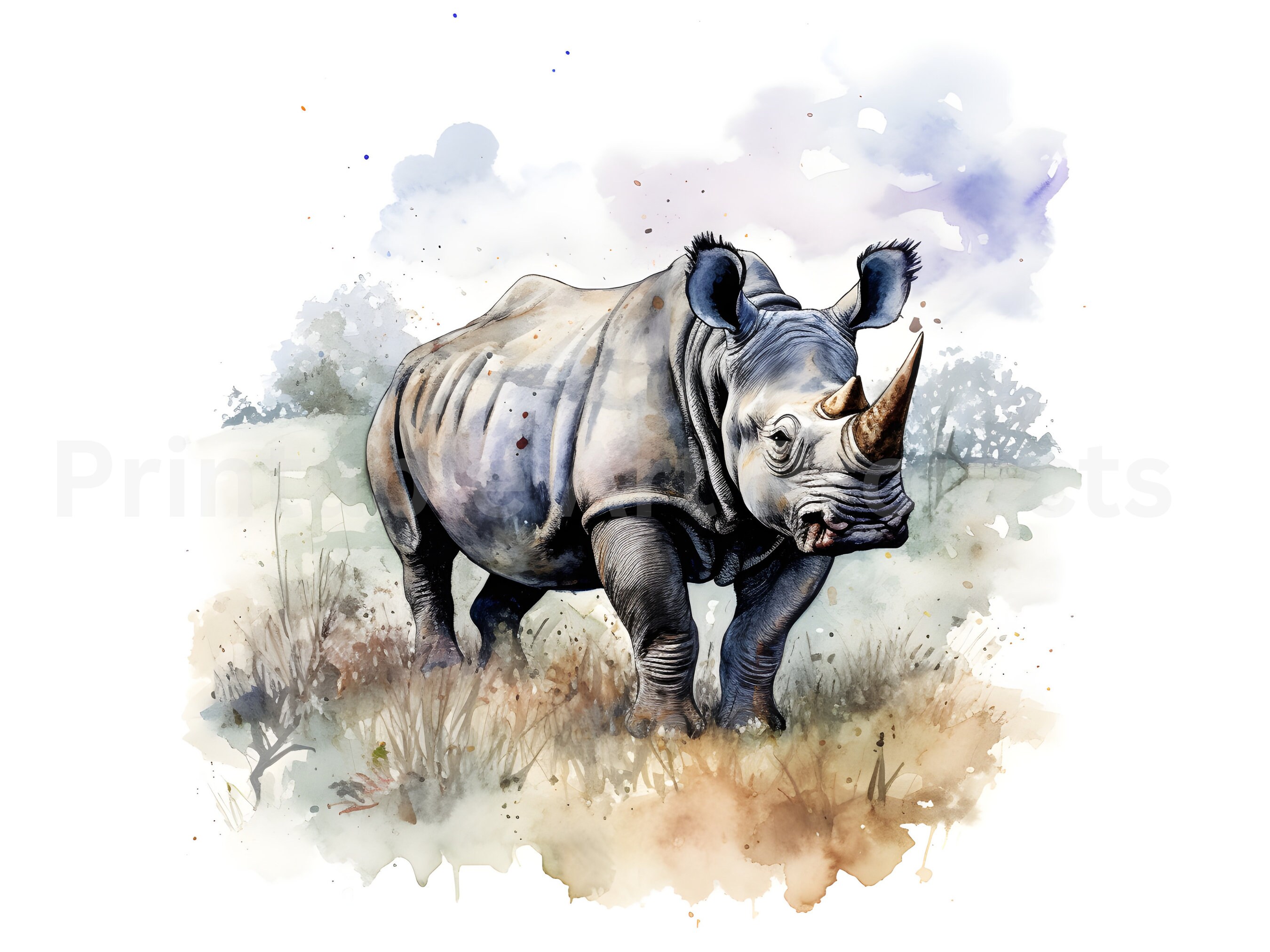 20 Rhinoceros Clip Art Images High Quality 300 Dpi Jpgs Rhino ...