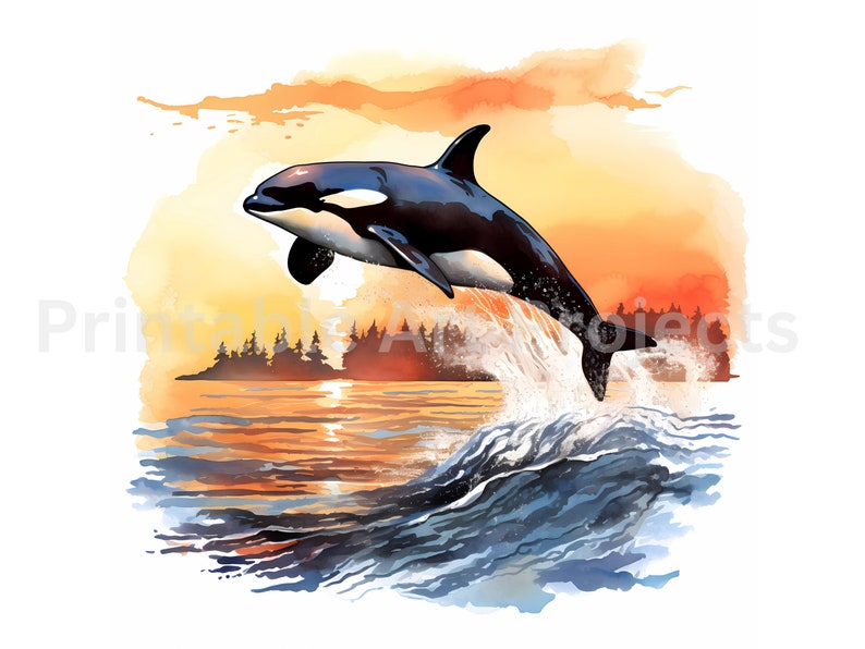 Orca Killer Whale Clip Art, 20 High Quality 300 Dpi Jpgs - Watercolor ...