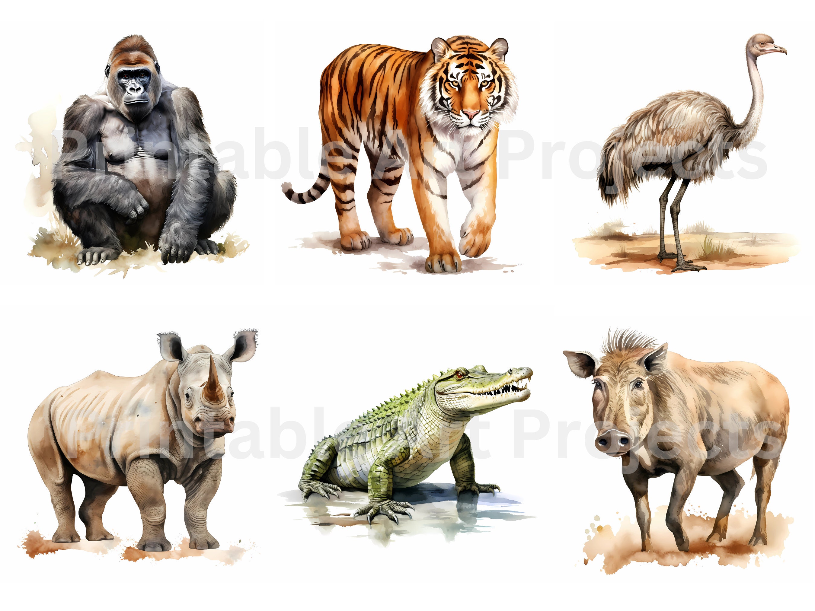 20 Safari Wild Animals Clip Art, High Quality 300 Dpi Jpgs Watercolor ...