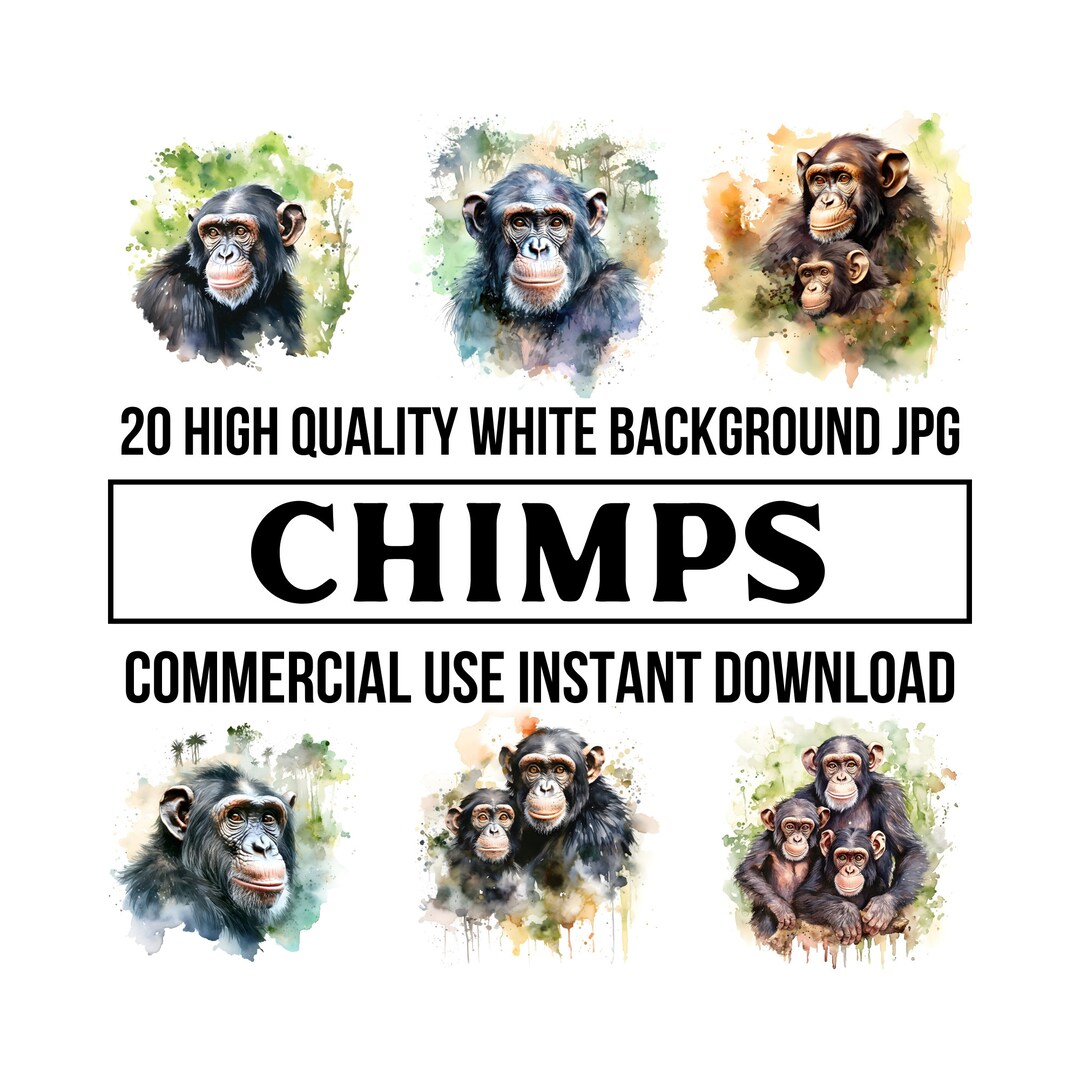 20 Cute Chimpanzees Clip Art High Quality 300 Dpi Jpgs Monkey ...