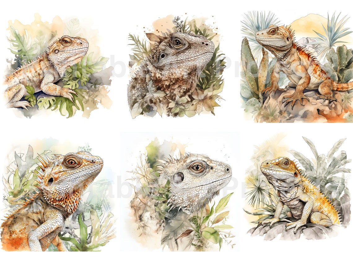 20 Bearded Dragon Clipart High Quality 4096x4096 Px JPG Donkey ...