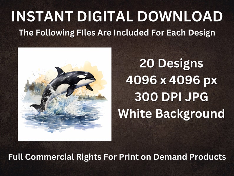 Orca Killer Whale Clip Art, 20 High Quality 300 Dpi Jpgs - Watercolor ...