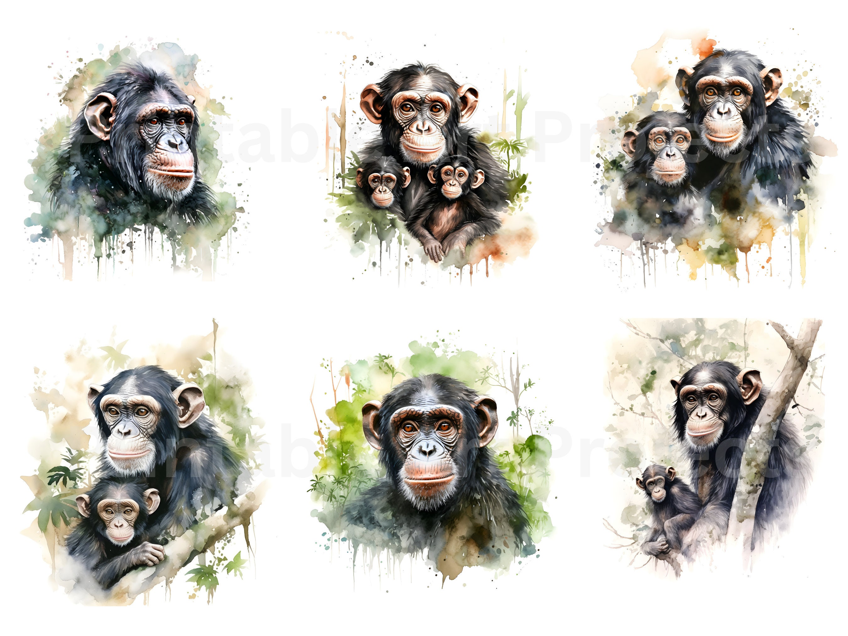20 Cute Chimpanzees Clip Art High Quality 300 Dpi Jpgs Monkey ...