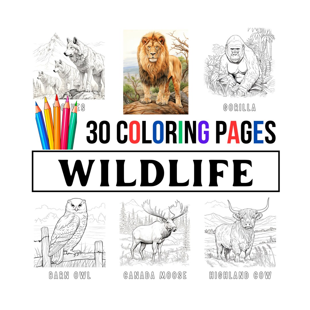 30 Named Wildlife Printable Coloring Pages - JPG Instant Download - 8.5 ...