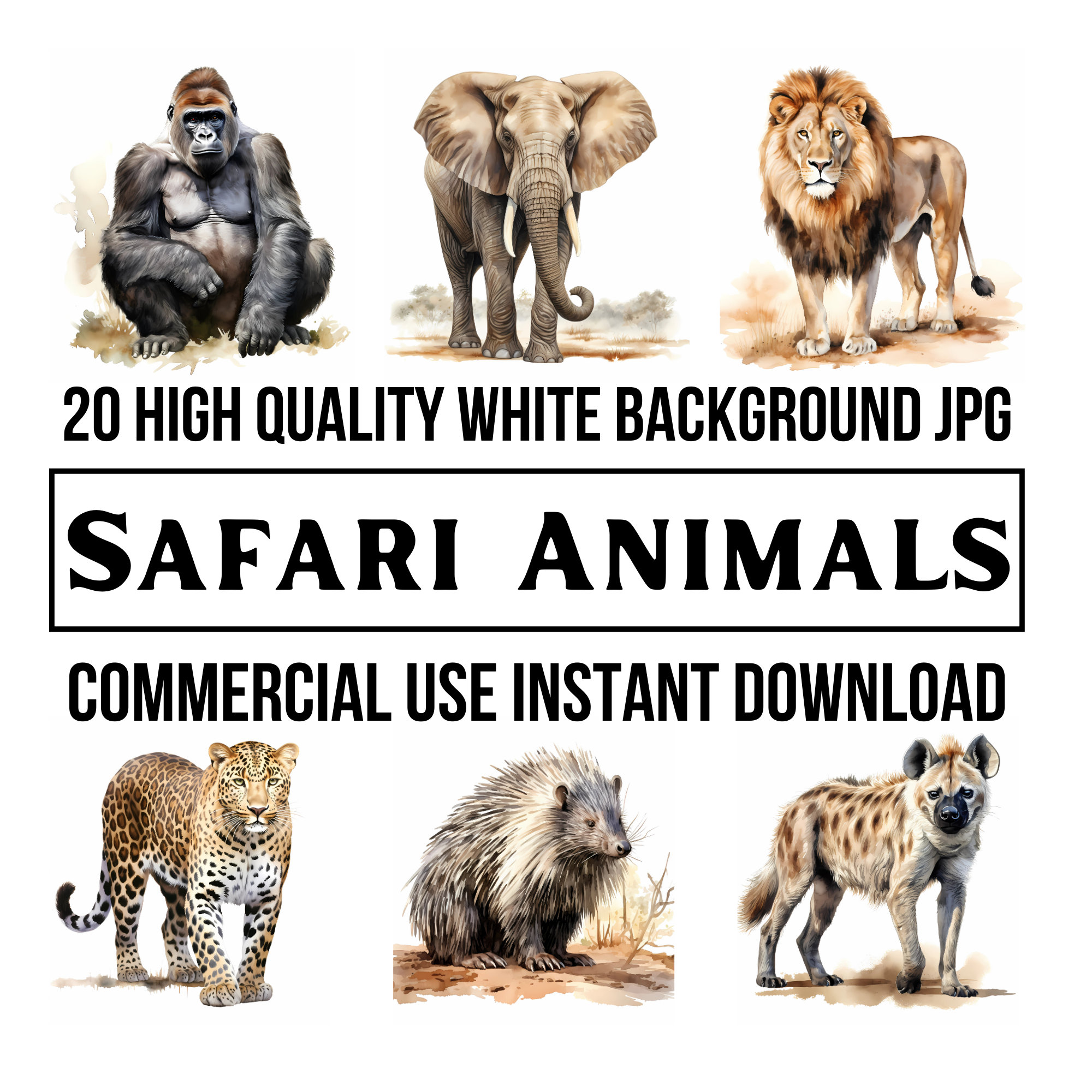 20 Safari Wild Animals Clip Art, High Quality 300 Dpi Jpgs Watercolor ...