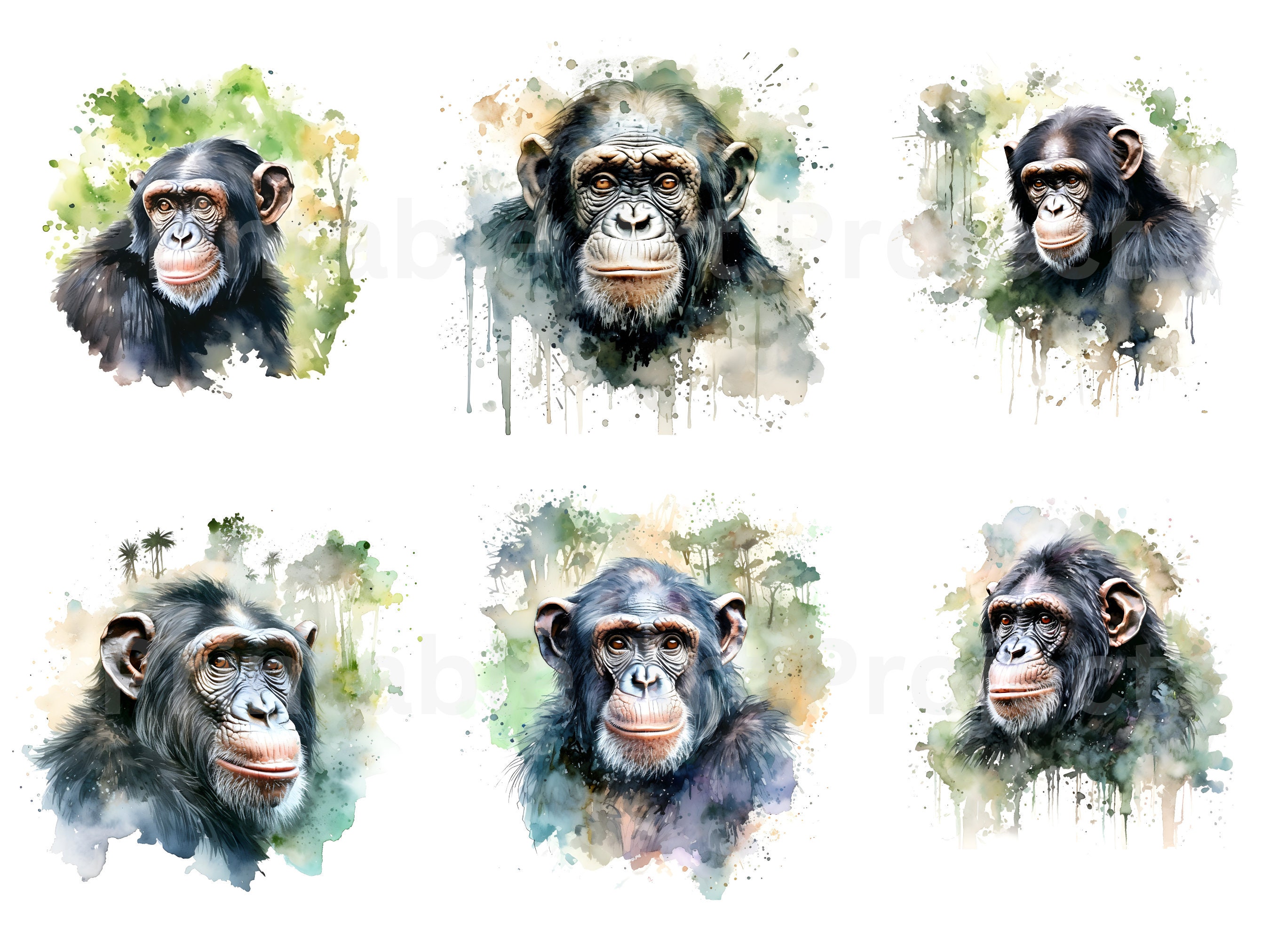 20 Cute Chimpanzees Clip Art - High Quality 300 Dpi Jpgs - Monkey ...