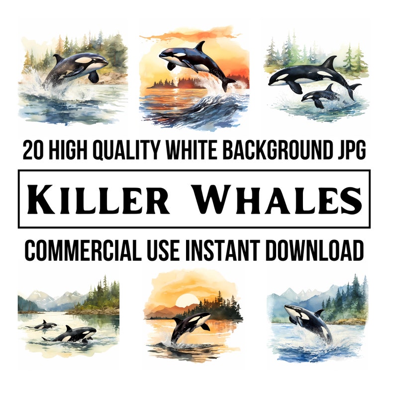 Orca Killer Whale Clip Art, 20 High Quality 300 Dpi Jpgs Watercolor Pen ...