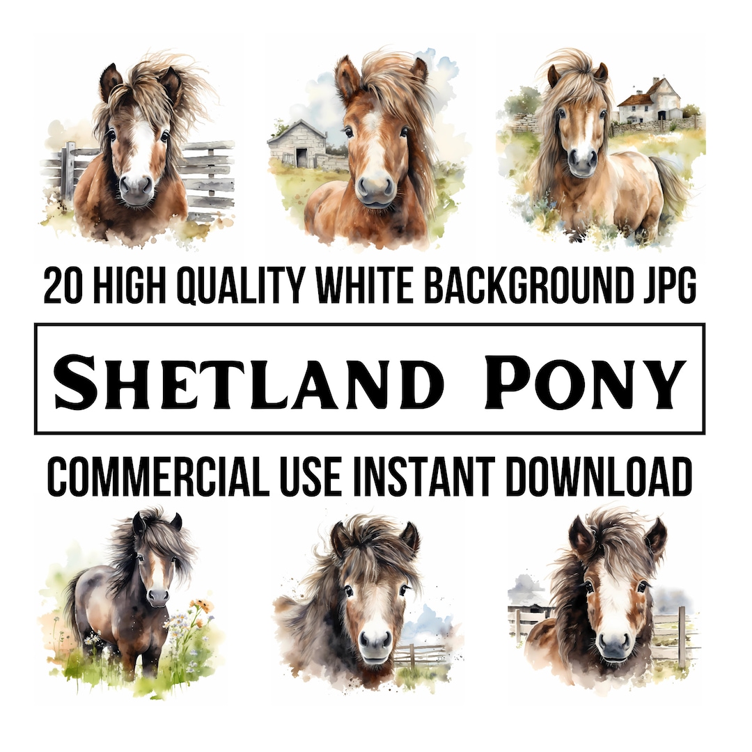 Cute Shetland Pony Clip Art, 20 High Quality 300 Dpi Jpgs - Watercolor ...