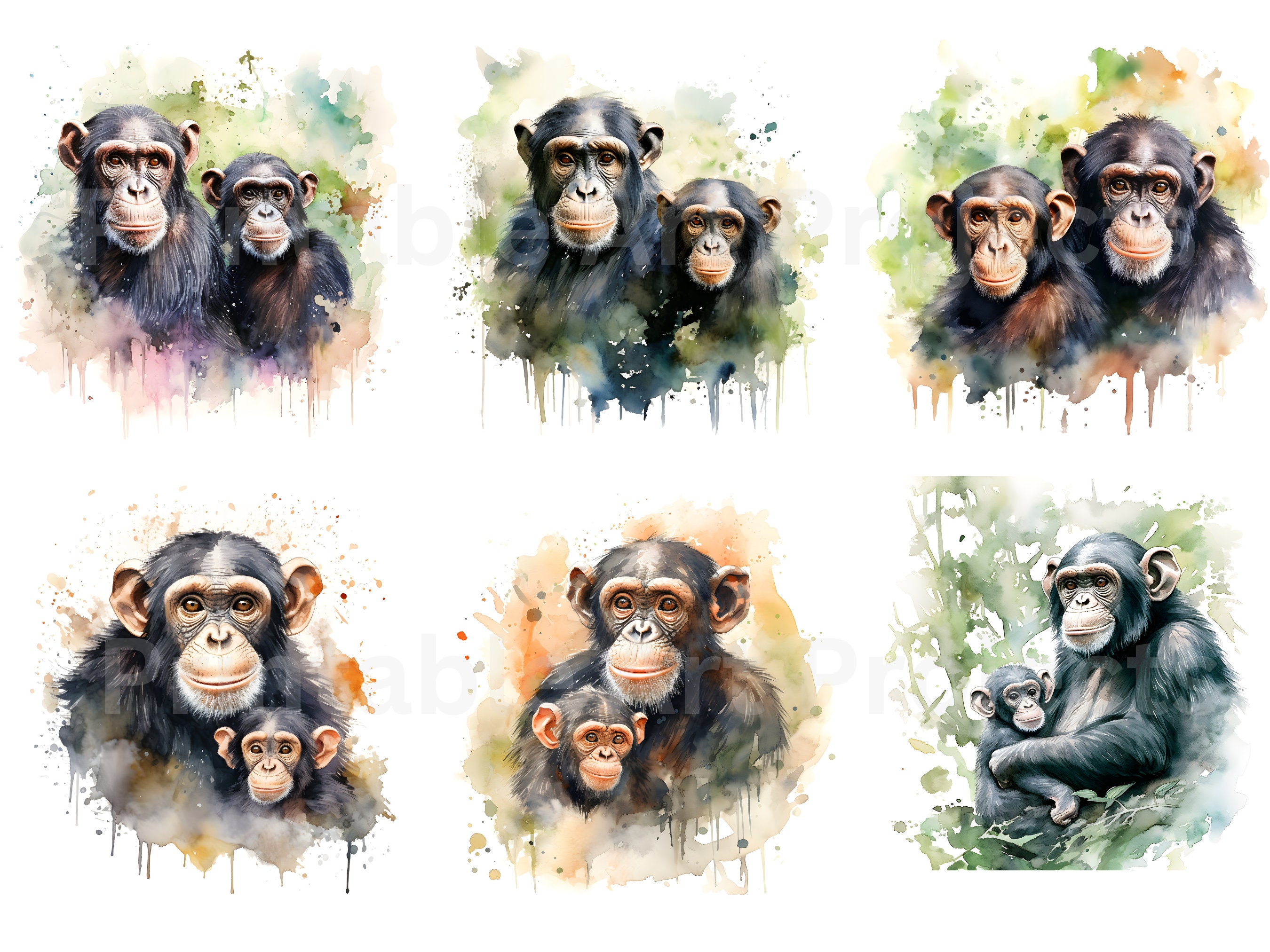 20 Cute Chimpanzees Clip Art High Quality 300 Dpi Jpgs Monkey ...