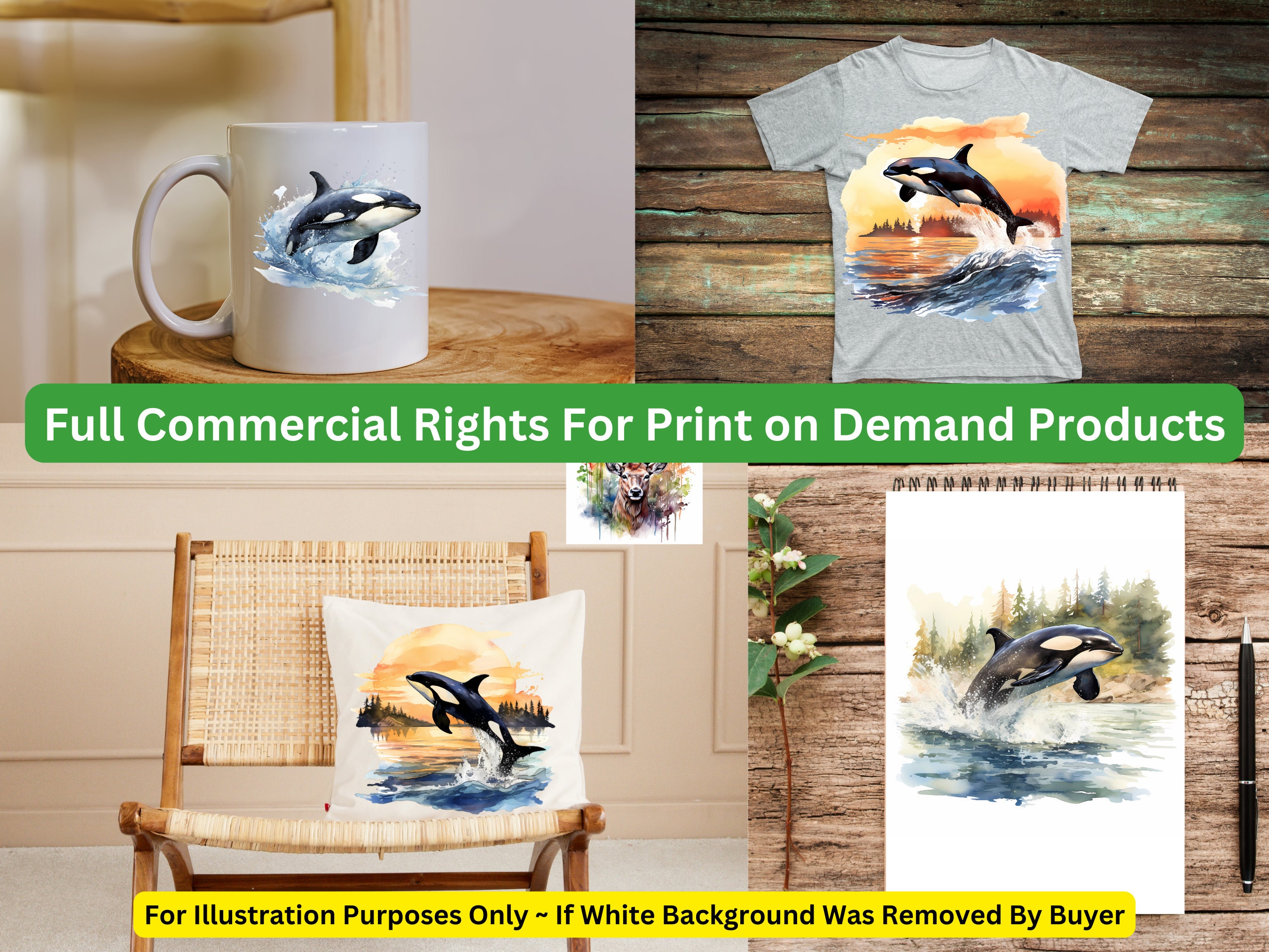 Orca Killer Whale Clip Art, 20 High Quality 300 Dpi Jpgs Watercolor Pen ...