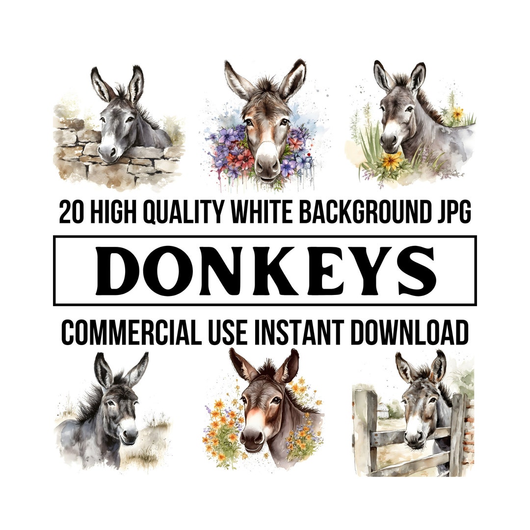 20 Cute Donkeys Clip Art High Quality 4096x4096 Px Jpgs Donkey ...