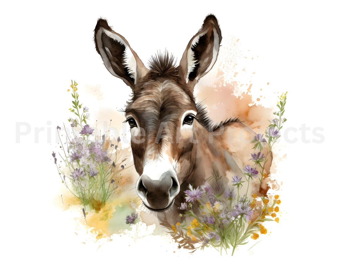 20 Cute Donkeys Clip Art High Quality 4096x4096 Px Jpgs Donkey ...