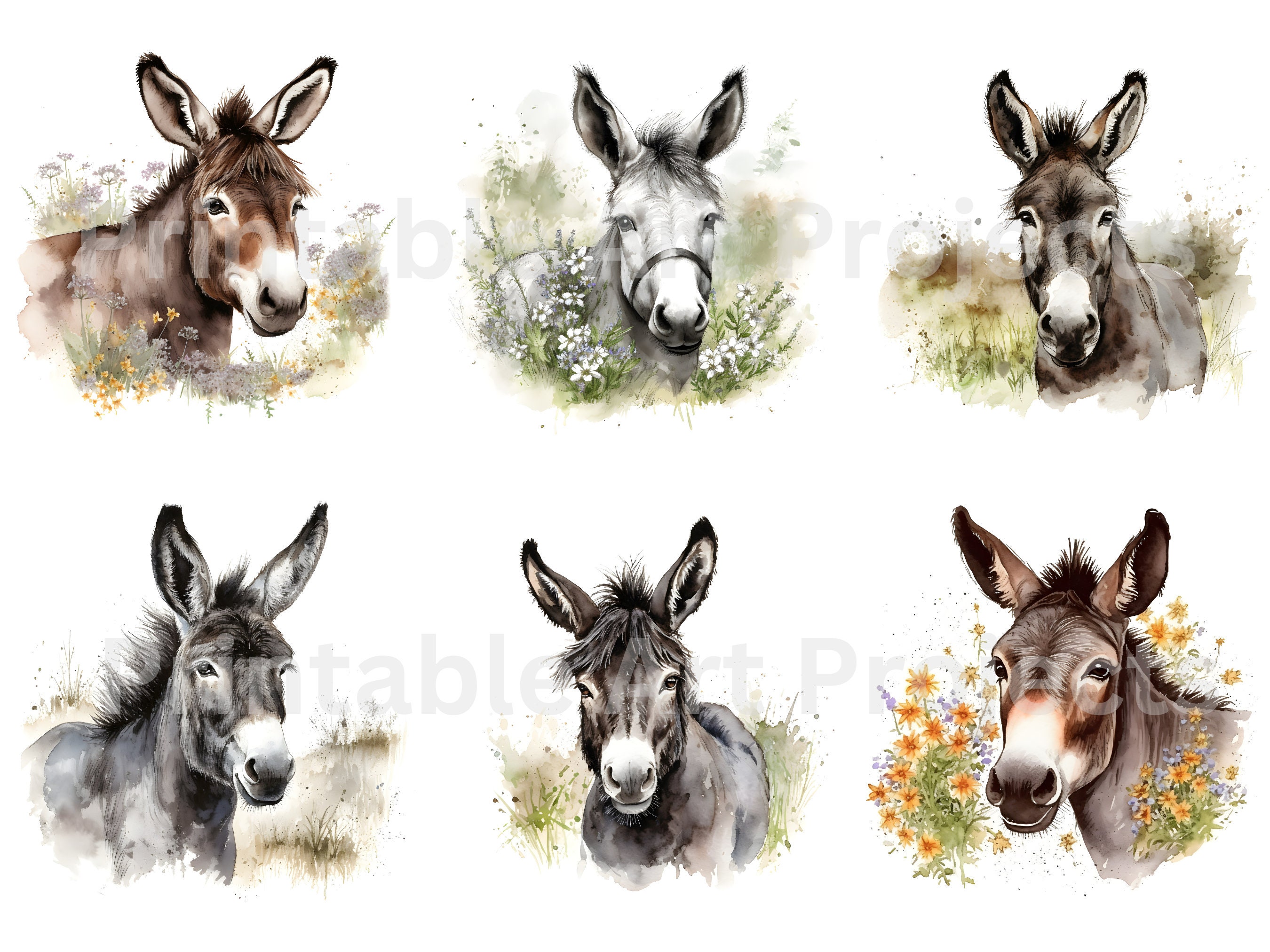 20 Cute Donkeys Clip Art High Quality 4096x4096 Px Jpgs Donkey ...