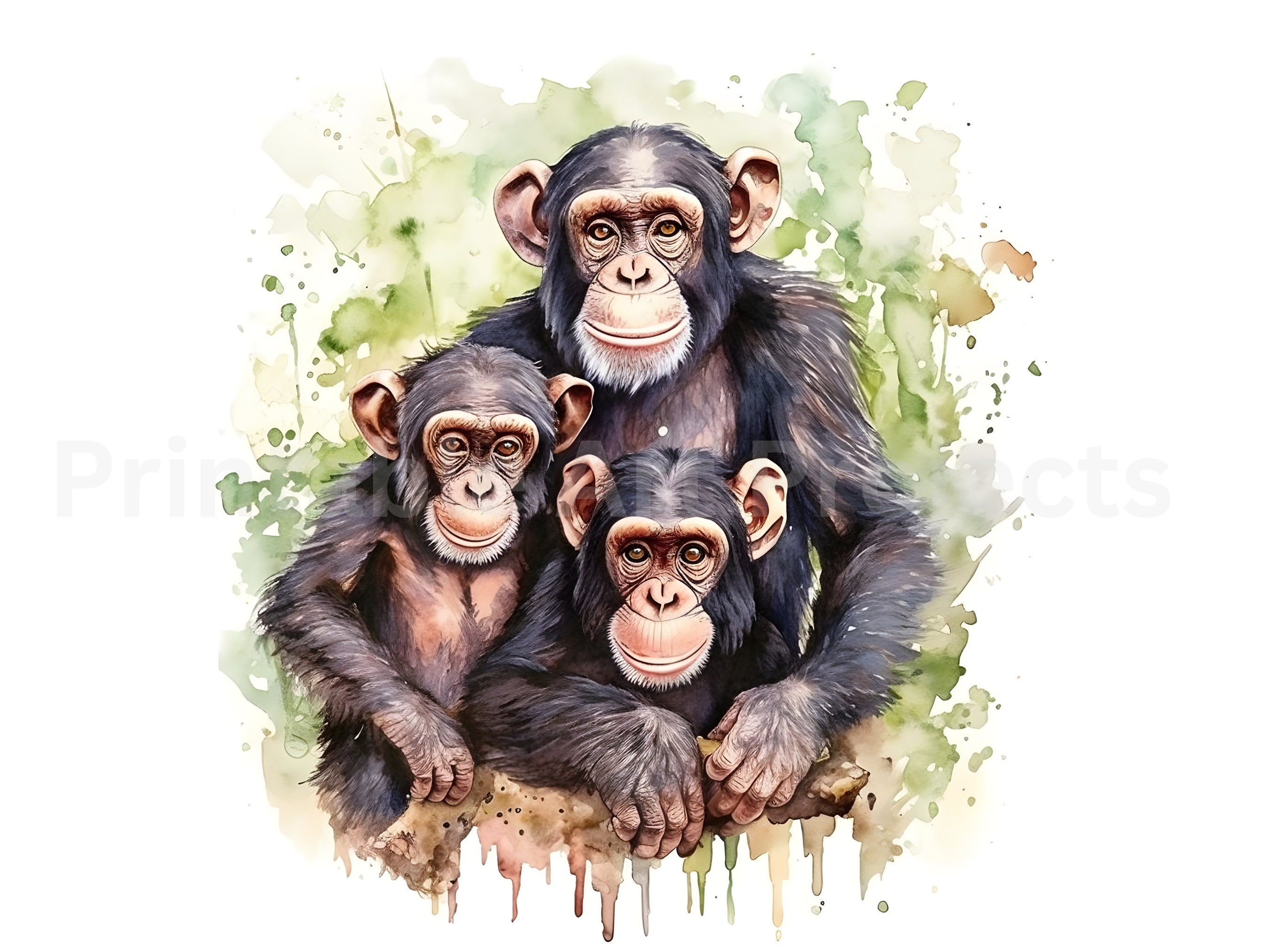 20 Cute Chimpanzees Clip Art - High Quality 300 Dpi Jpgs - Monkey ...