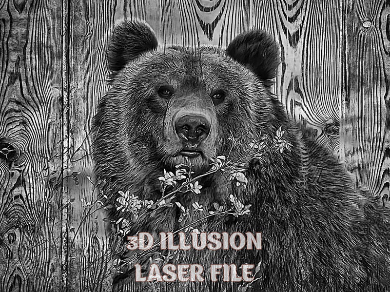 Bear Bear Png Bear Bmp Sublimination Glowforge Wood - Etsy