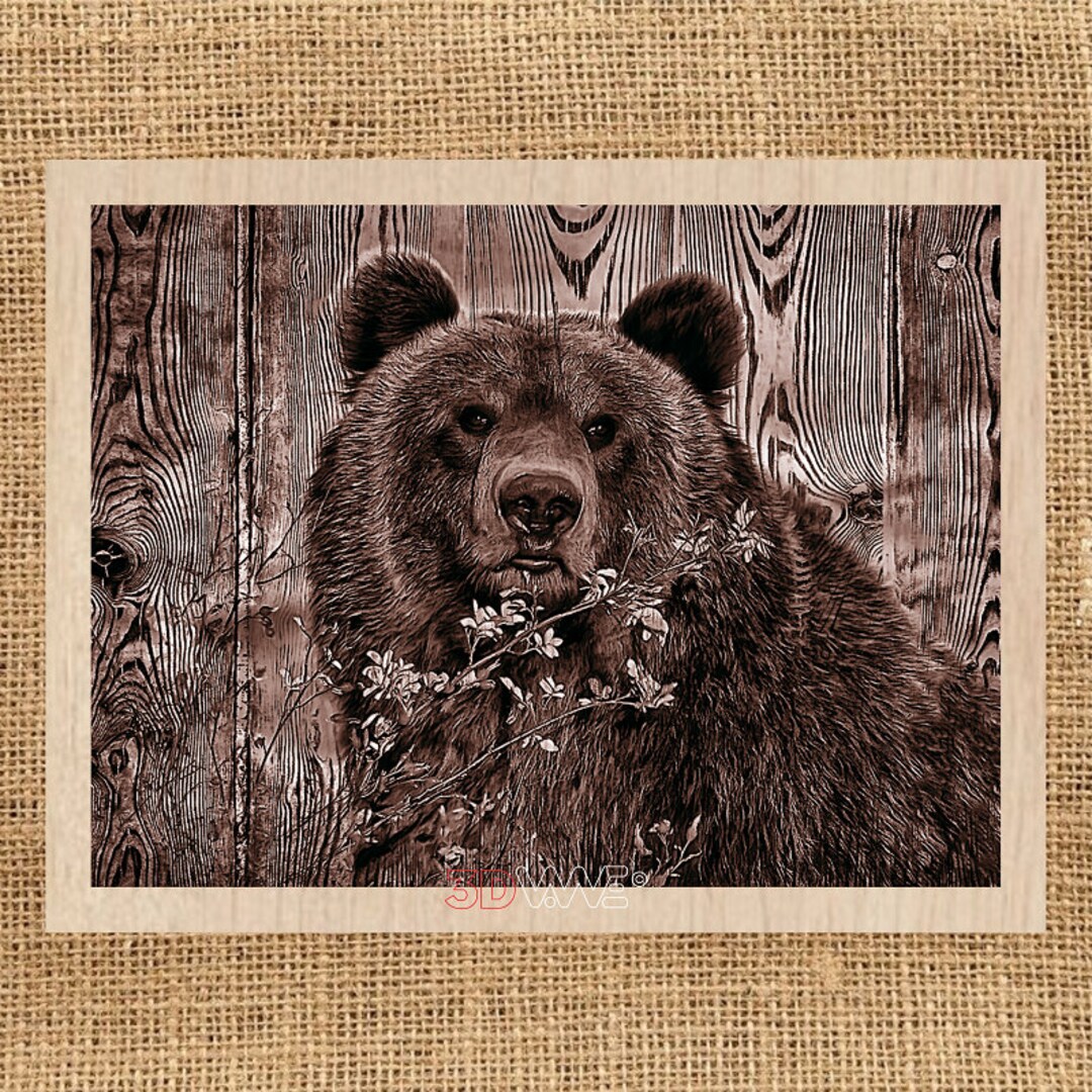 Bear, Bear Png, Bear Bmp, Sublimination Glowforge Wood Engraving 3D ...