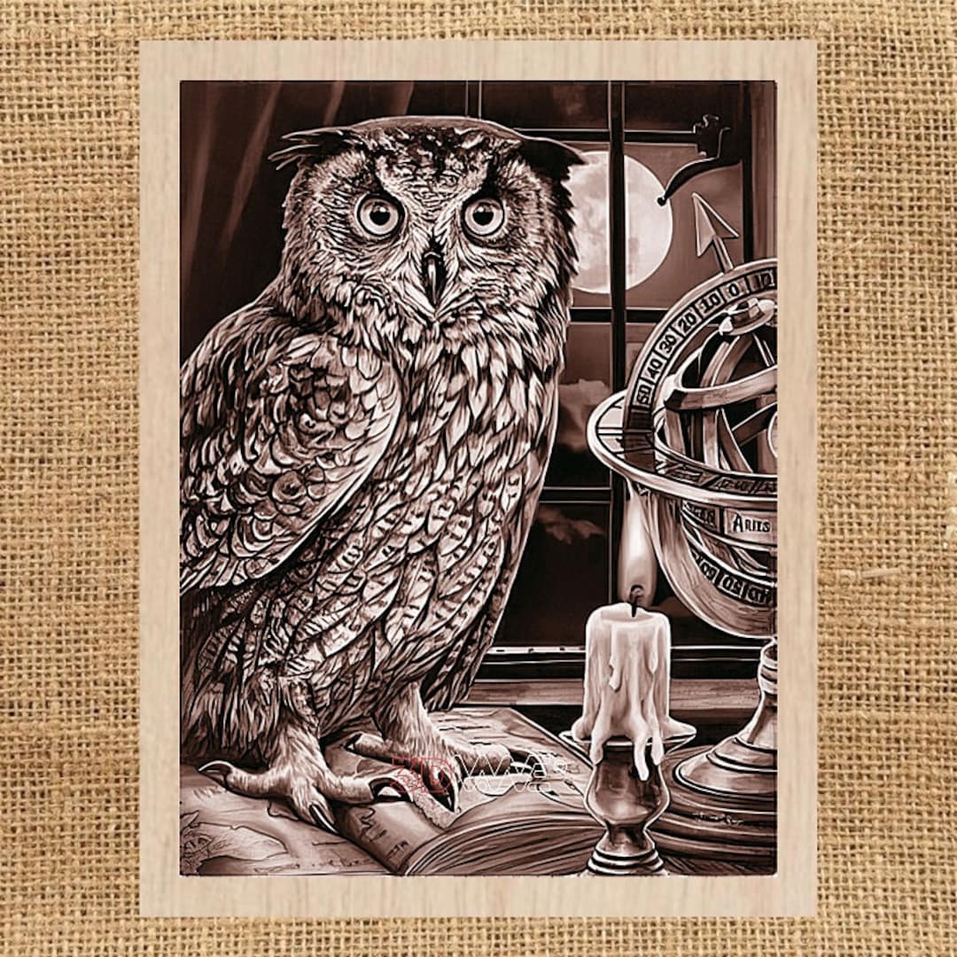 Owl Laser Burning Files Laser Files 3d Illusion Wood Engraving Digital ...