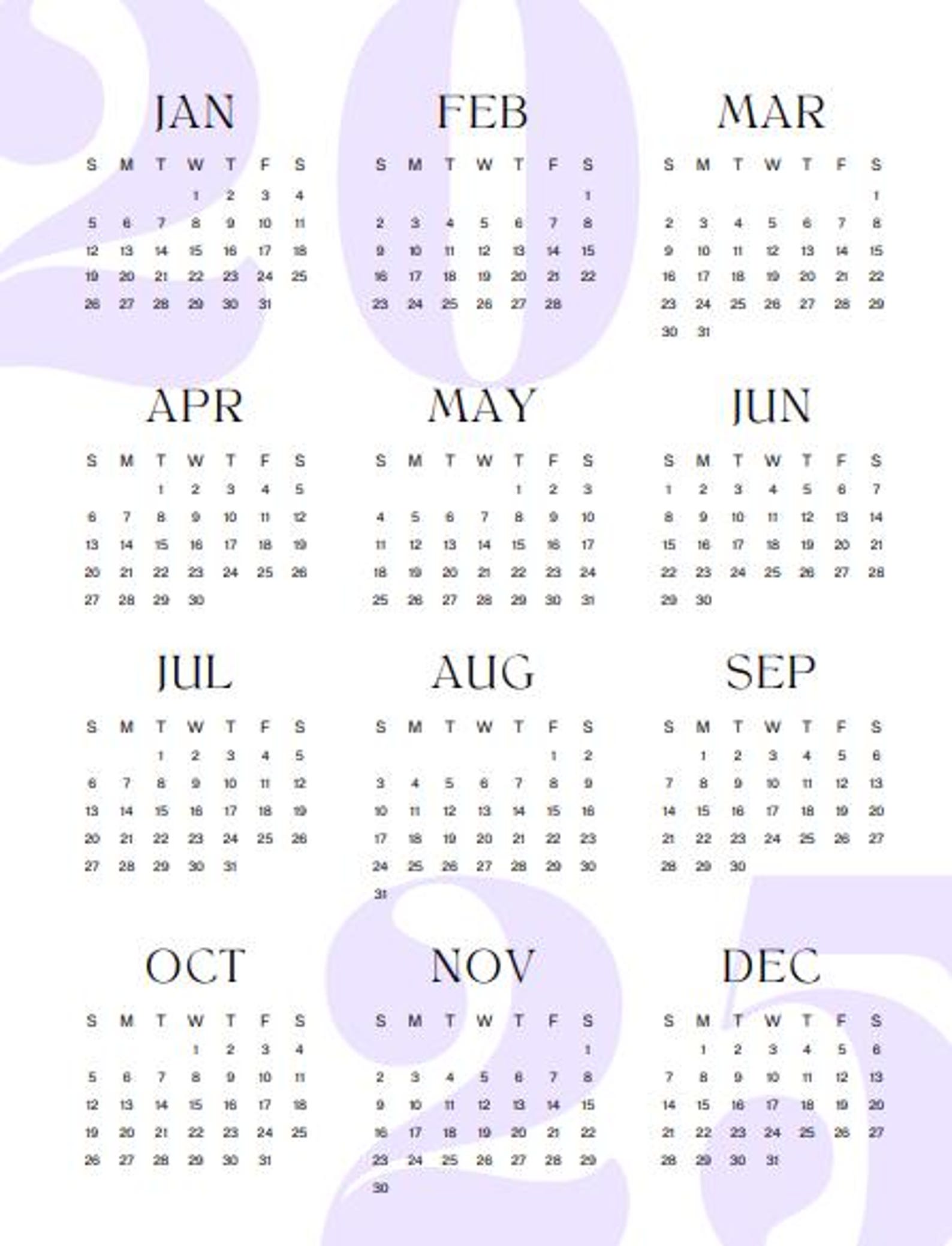 2025year at a Glance / Overview Calendar – Printable & Digital Planner ...