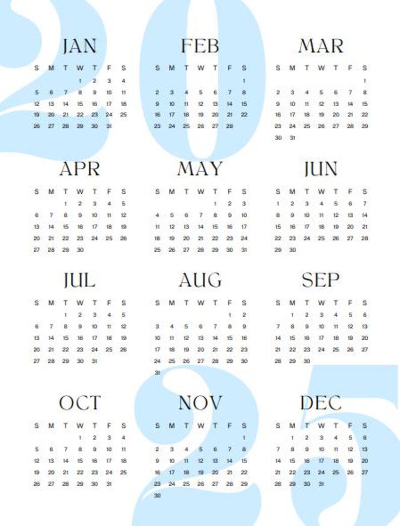 2025year at a Glance / Overview Calendar – Printable & Digital Planner ...