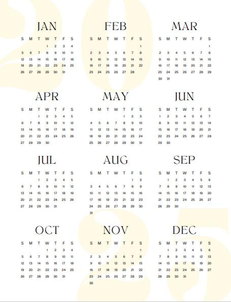 2025year at a Glance / Overview Calendar – Printable & Digital Planner ...