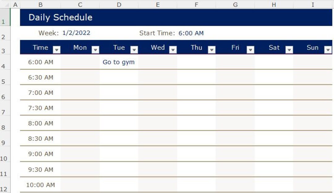 Daily / Weekly Schedule to Help Stay Organized. ( Excel / Google Sheets ...