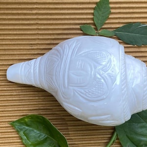 Lord Shiva Conch Shell Sankha Hand Carved - Etsy