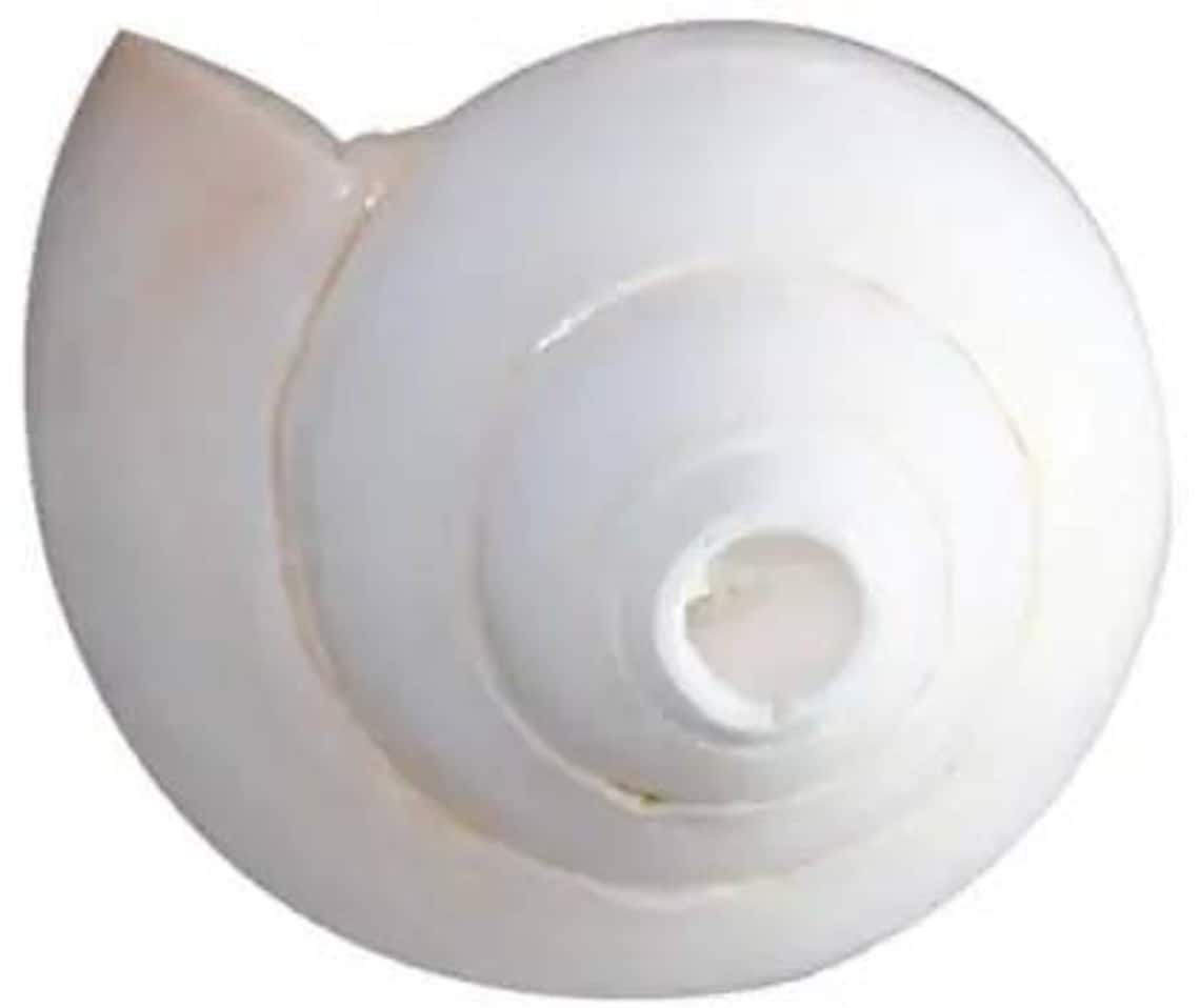 Pooja Shankh Loud Blowing Vamavarti Shankh Left Handed White | Etsy