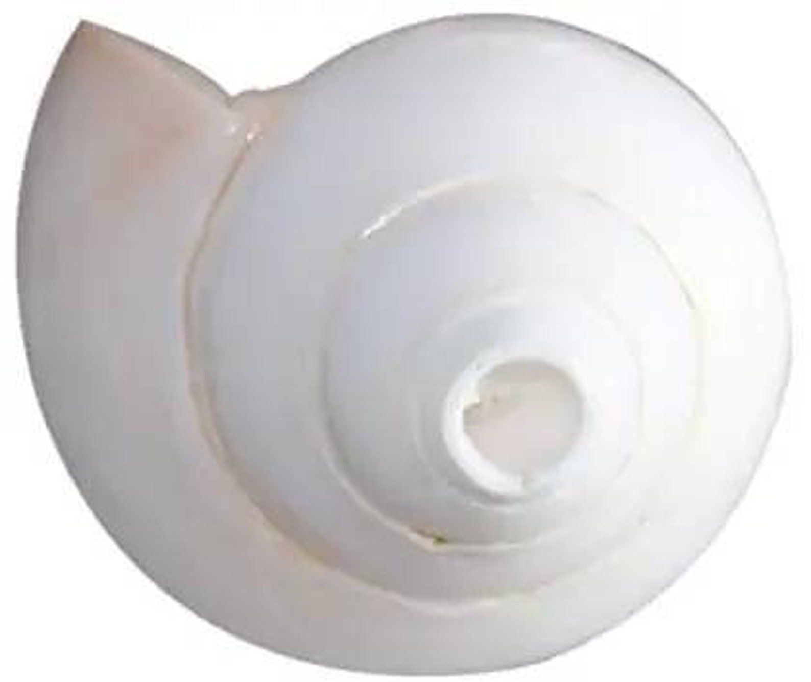 Pooja Shankh Loud Blowing Vamavarti Shankh Left Handed White | Etsy