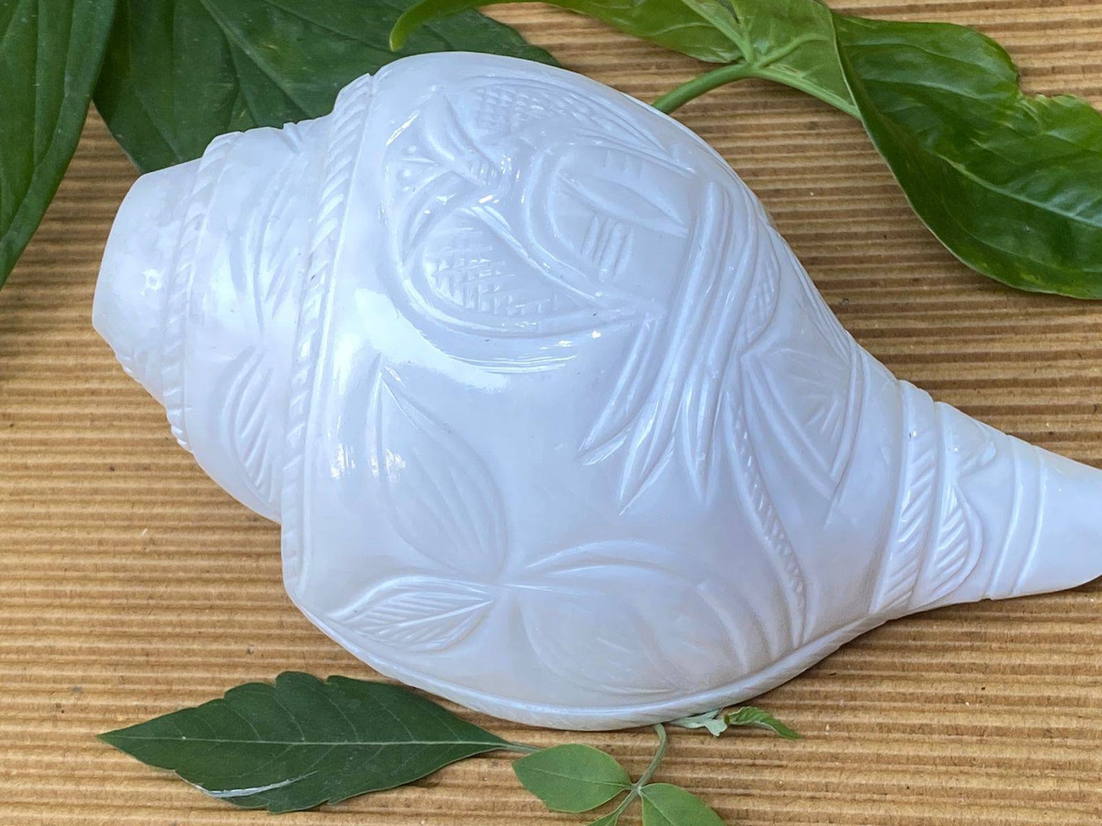 Lord Shiva Conch Shell Sankha Hand Carved - Etsy