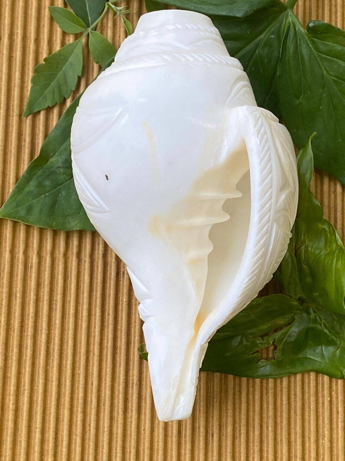 Lord Shiva Conch Shell Sankha Hand Carved - Etsy