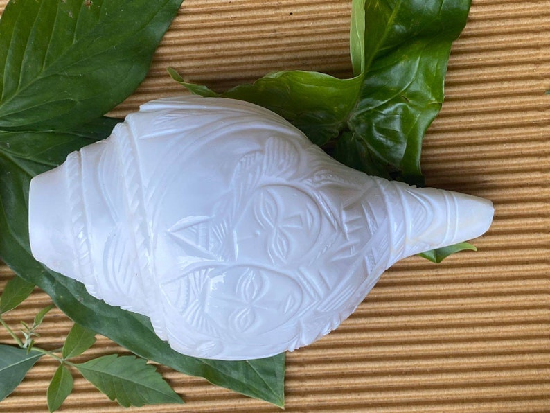Puja Conch Shell You Have to Blow Into This Shell It Makes a - Etsy