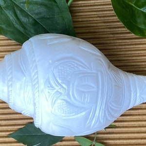 Lord Shiva Conch Shell Sankha Hand Carved - Etsy