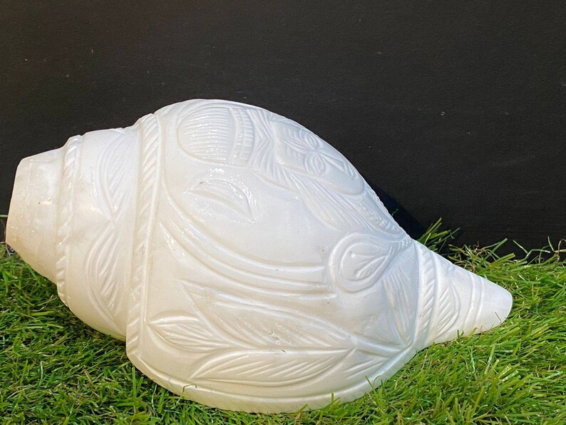 Puja Conch Shell You Have to Blow Into This Shell It Makes a | Etsy
