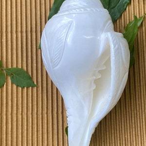 Lord Shiva Conch Shell Sankha Hand Carved - Etsy