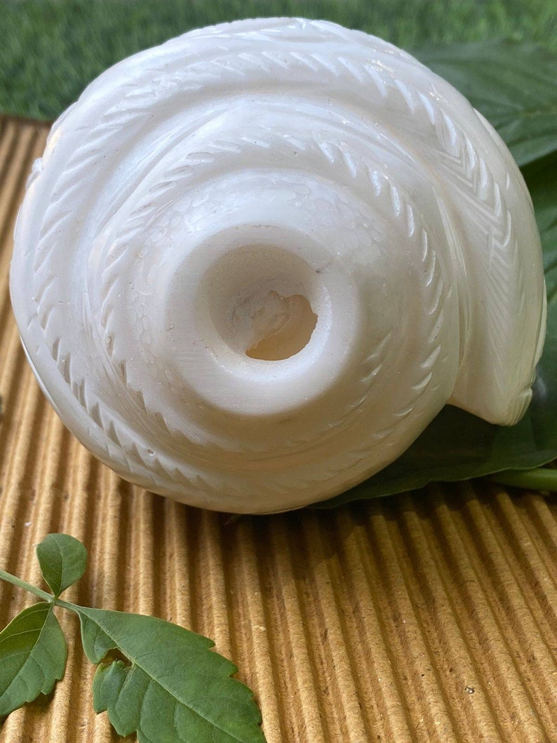 Lord Shiva Conch Shell Sankha Hand Carved - Etsy