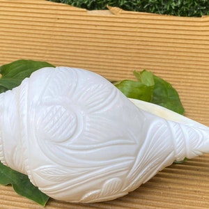 Lord Shiva Conch Shell Sankha Hand Carved - Etsy