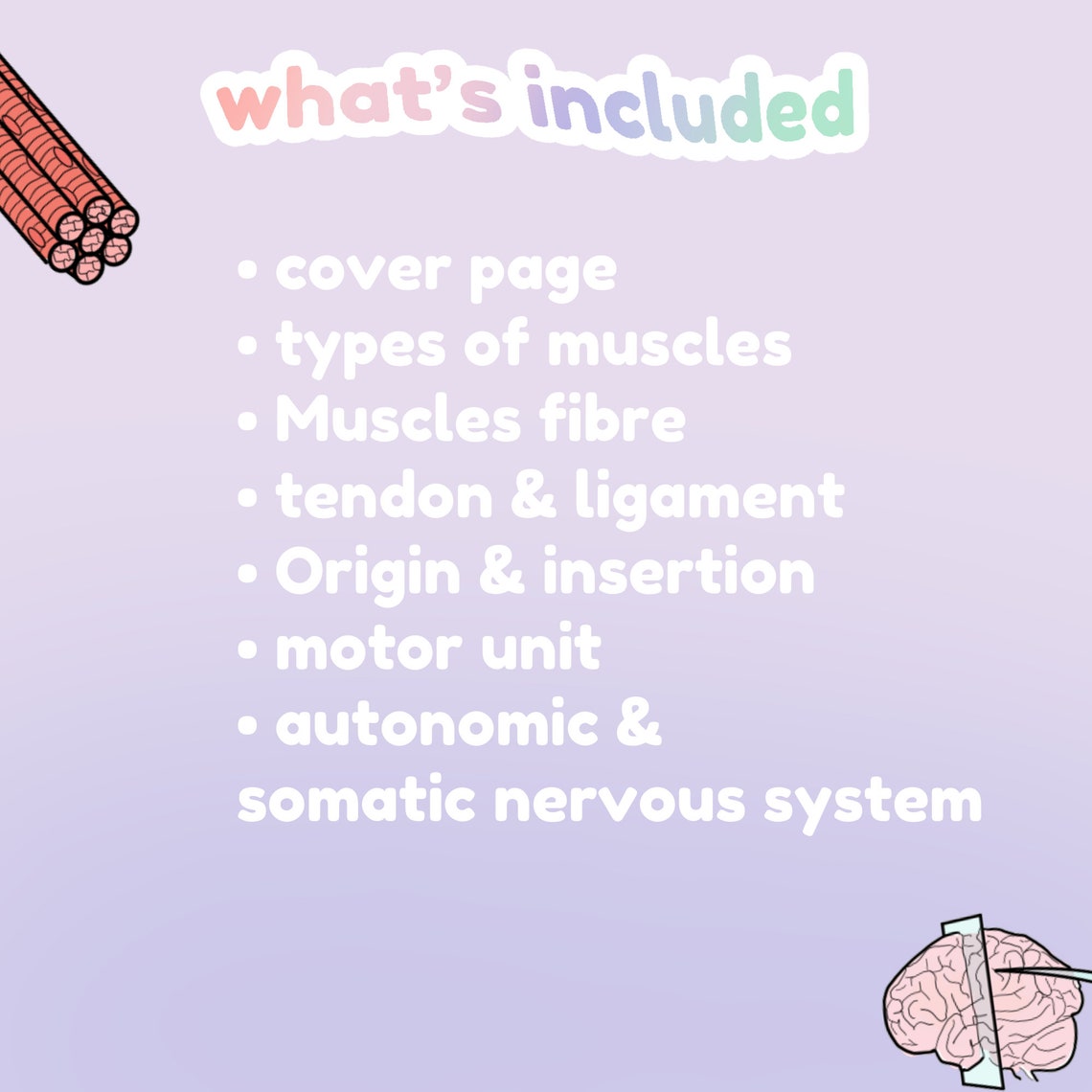 Types of Muscles Anatomy, Musculoskeletal System, Autonomic and Somatic ...