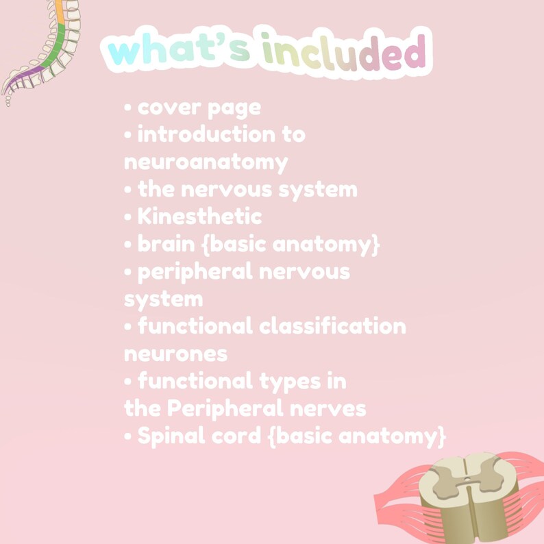 The Nervous System, Neuroanatomy, Intro to Neuroanatomy, Introduction ...