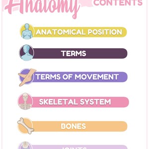 UPDATE Intro to Anatomy, Introduction to Anatomy, Anatomy Notes, Study ...