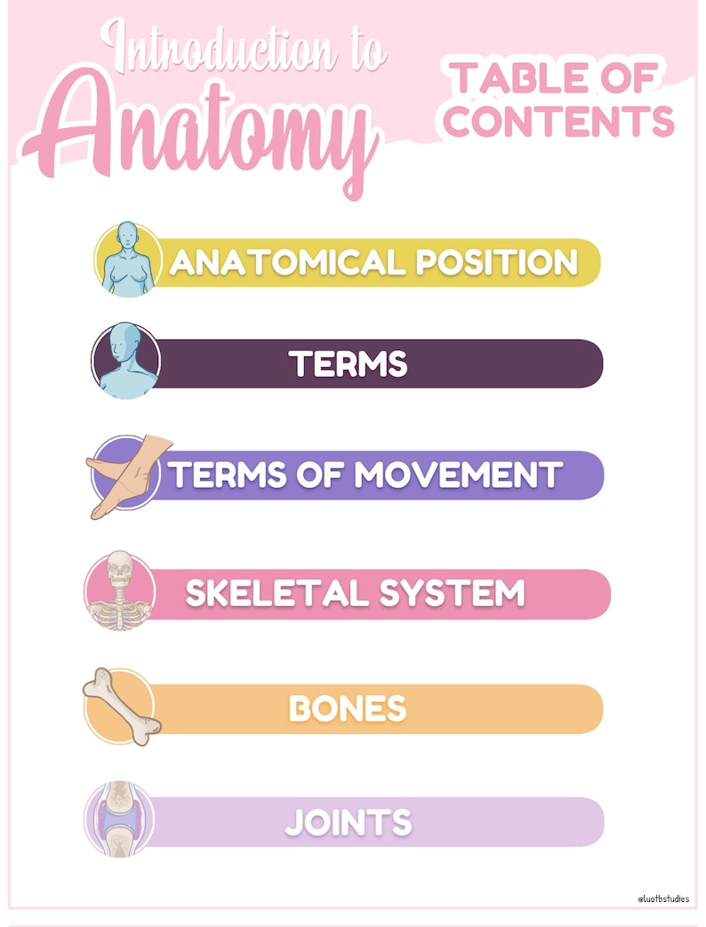 UPDATE Intro to Anatomy, Introduction to Anatomy, Anatomy Notes, Study ...