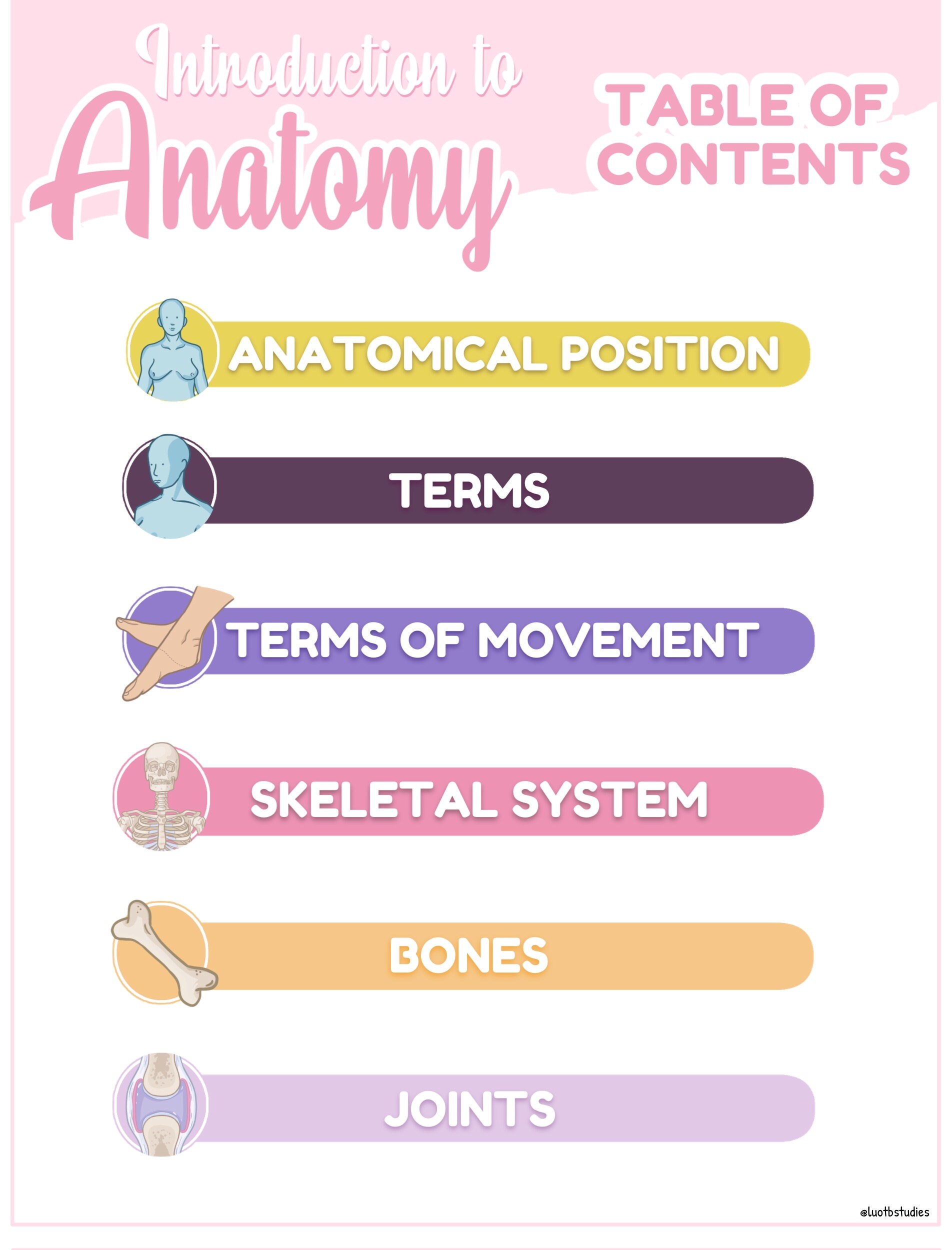 UPDATE Intro to Anatomy, Introduction to Anatomy, Anatomy Notes, Study ...